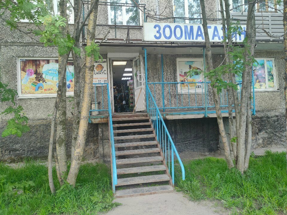 Petshop Дискус, Murmansk, foto