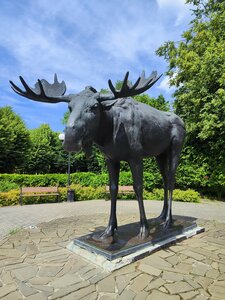 Лось (Kaliningrad Region, Sovetsk, Teatralnaya ulitsa), park, sokak heykeli  Sovetsk'ten