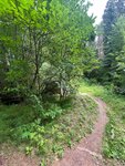 Spring, stream (Vologda Region, Velikoustyugskiy munitsipalny okrug, Krasavino), pınar, çay  Krasavino'dan