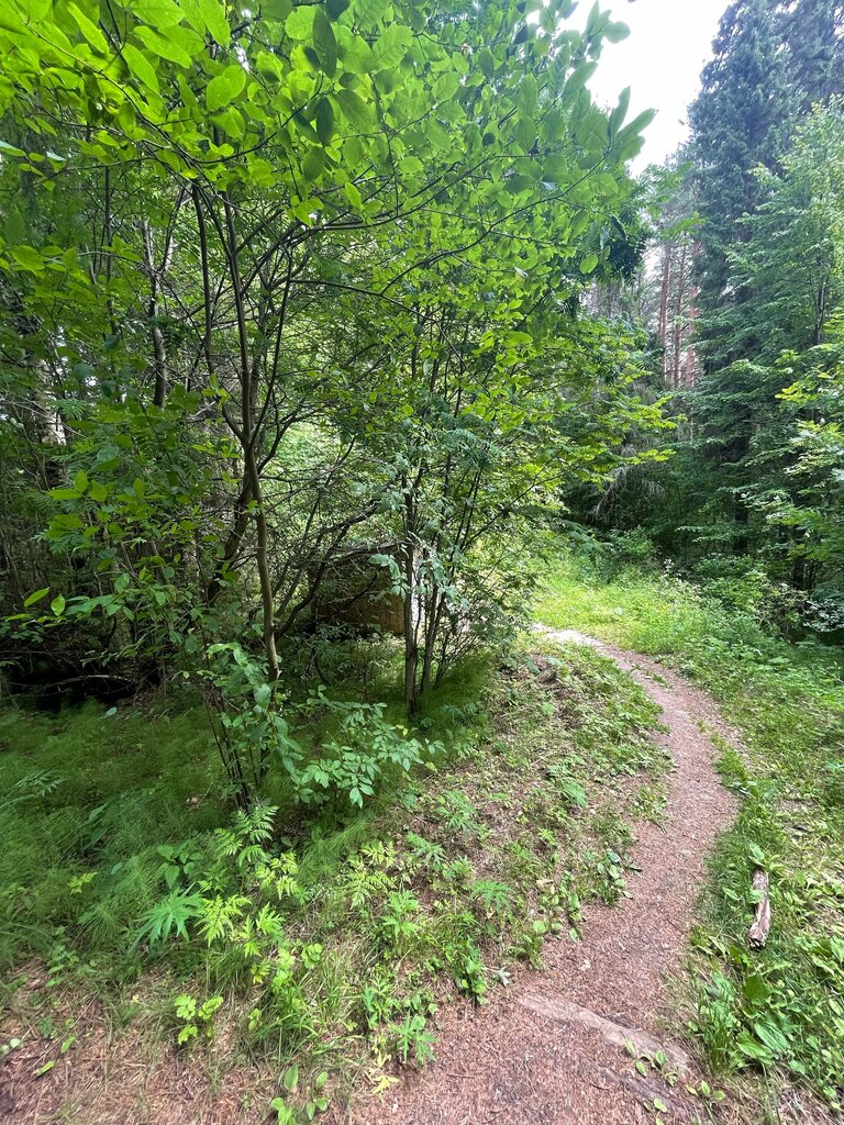 Pınar, çay Spring, stream, Krasavino, foto