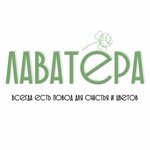 Лаватера (Moscow, Novomoskovskiy Administrative Okrug, Kommunarka District, bulvar Velaskesa, 7к3), çiçek teslimatı  Moskova'dan