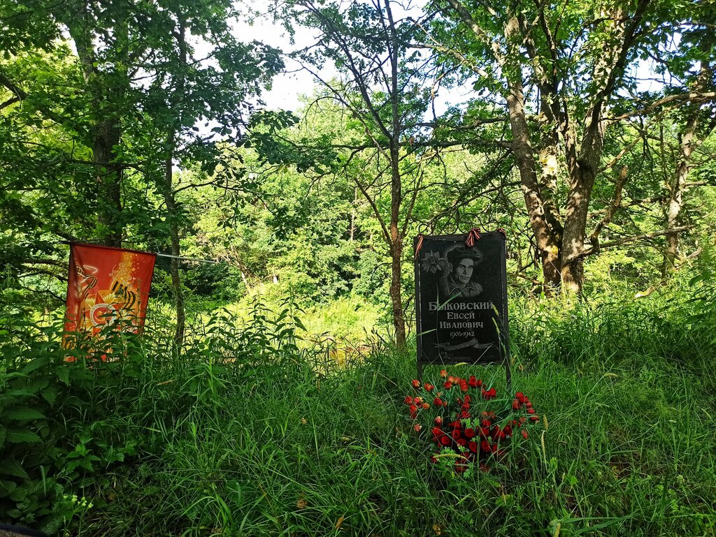 Anıt, heykel Партизанам, расстрелянным фашистами, Smolenskaya oblastı, foto