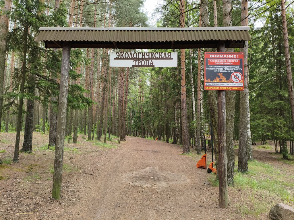 Turistik yerler Пешеходный экологический маршрут у Калищенского озера, Sosnoviy Bor, foto