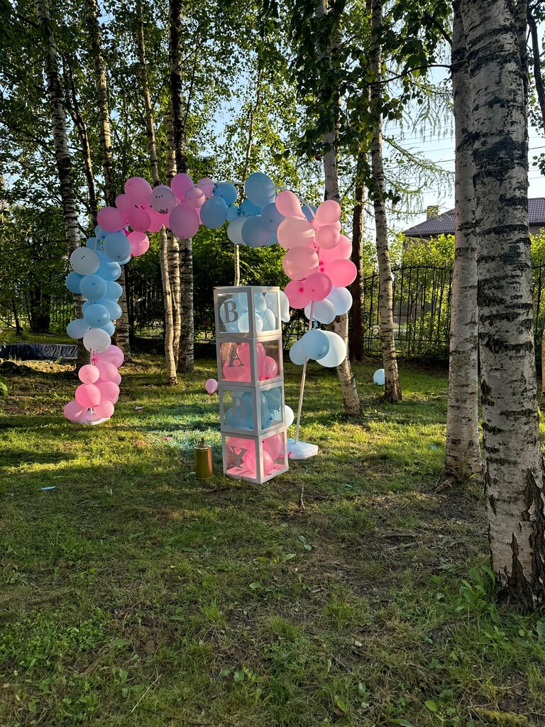 Dağ zirvesi Гора Риутта, Karelya, foto