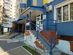 Круэлла (Mayakovskogo Street No:9/1), evcil hayvan kuaförleri  Surgut'tan