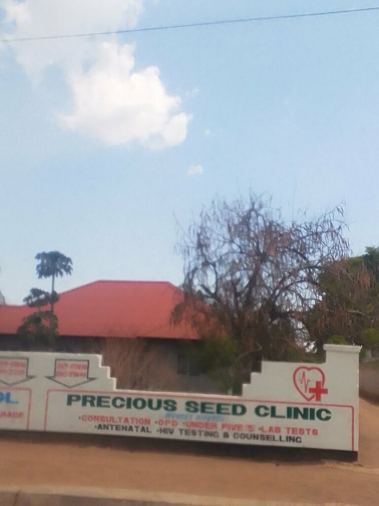Ortaokul Precious Seed School, Lusaka, foto