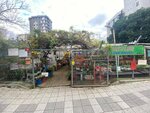 İkizler Çiçek Bahçesi (İstanbul, Kadıköy, Erenköy Mah., Eralp Sok., 14/1), çiçekçiler  İstanbul'dan