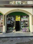 Foto Mahmut (Gaziantep, Şahinbey, Vatan Mah., 93055 Nolu Sok., 17/1A), profesyonel fotoğraf stüdyosu  Gaziantep'ten