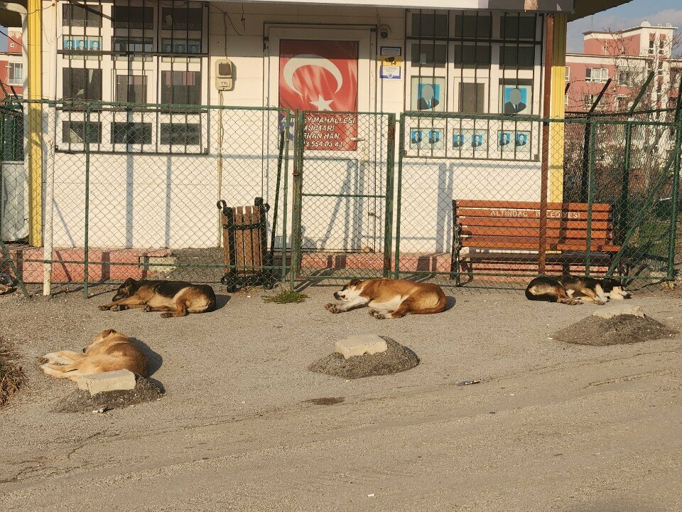 Muhtarlıklar Atıfbey Mahallesi Muhtarlığı, Ankara, foto