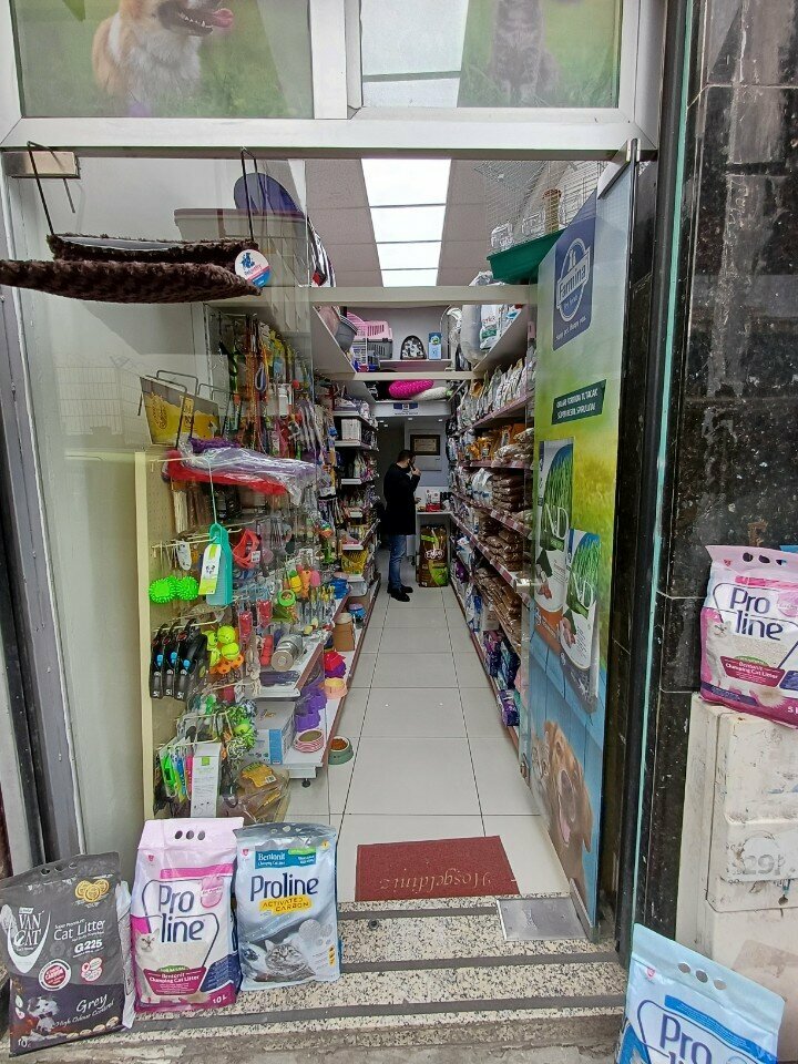 Petshop Yıldız Petshop, İstanbul, foto