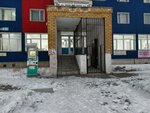 Taekwondo Section (No:29, Qaraǵaıly shaǵyn aýdany), spor kulüpleri  Semey'den