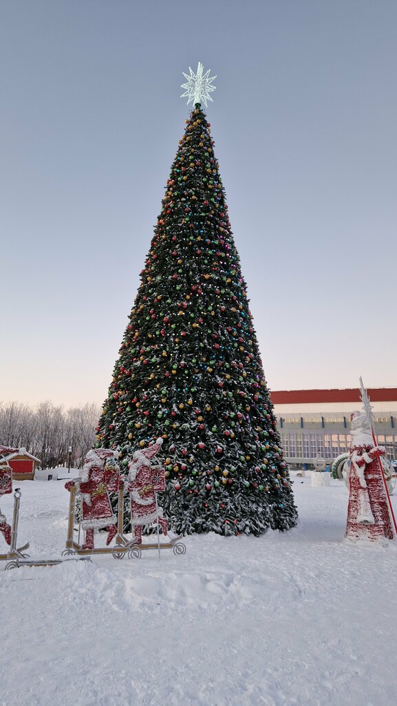 Oyun alanı Playground, Vorkuta, foto
