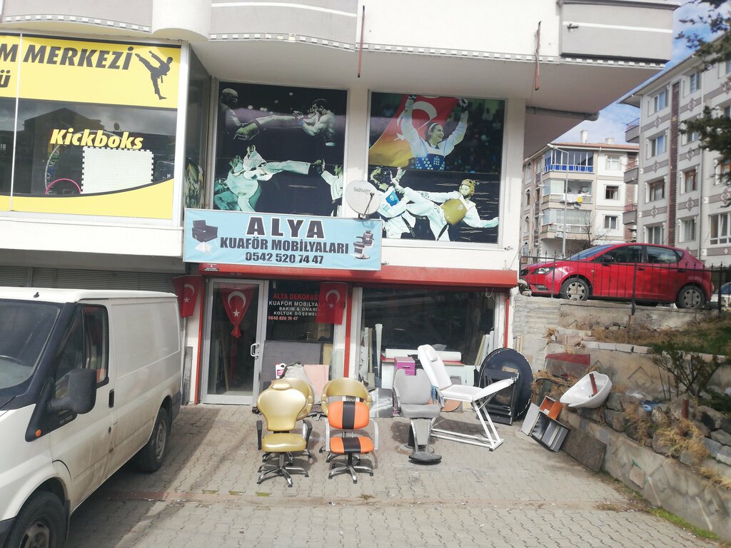 Mobilya tamir, tadilat Alya Mobilya Döşeme, Ankara, foto