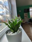 Промята (ulitsa Gorkogo No:22), masaj salonları  Losino‑Petrovski'den