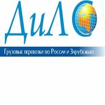 Dils (Moscow Region, Domodedovo City District, Domodedovo Airport, 7), uçak kargo  Moskova ve Moskovskaya oblastından