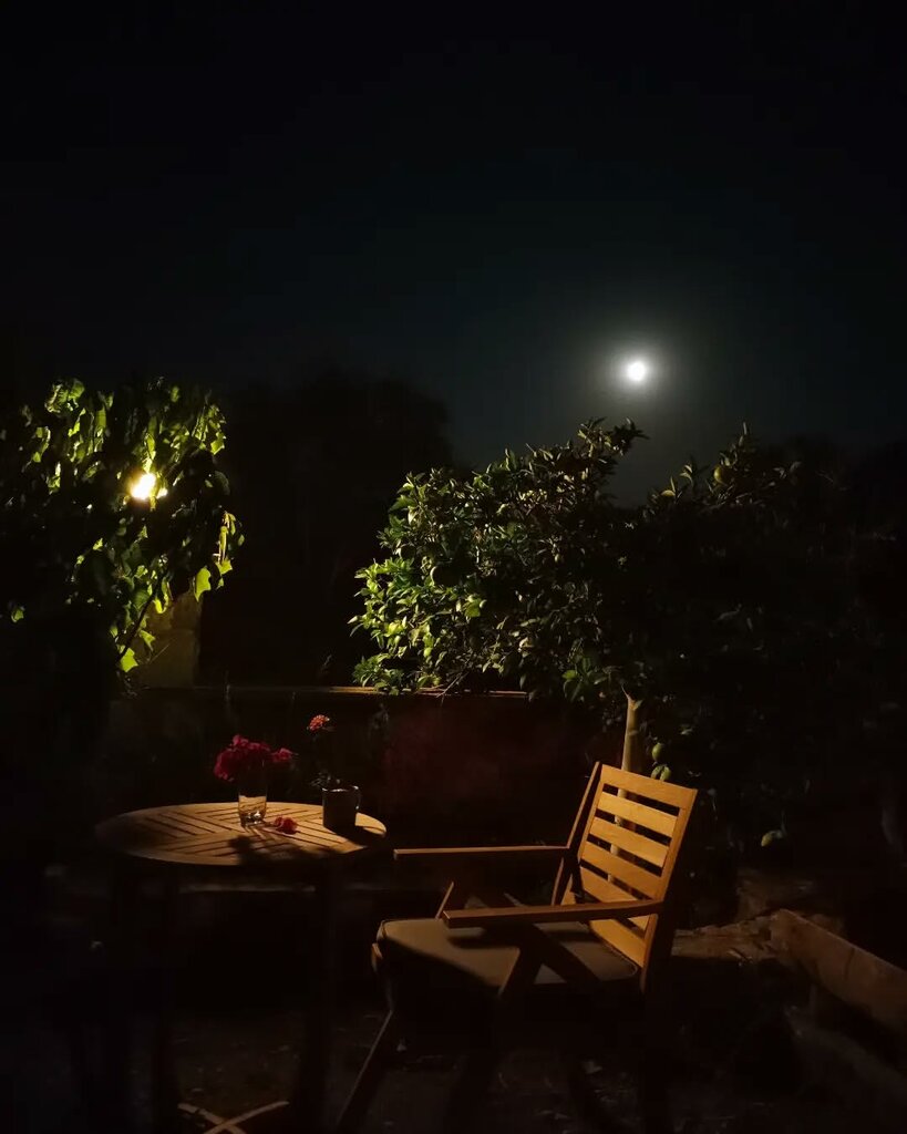Resort oteller, tesisler Golden Lemon Datça, Datça, foto