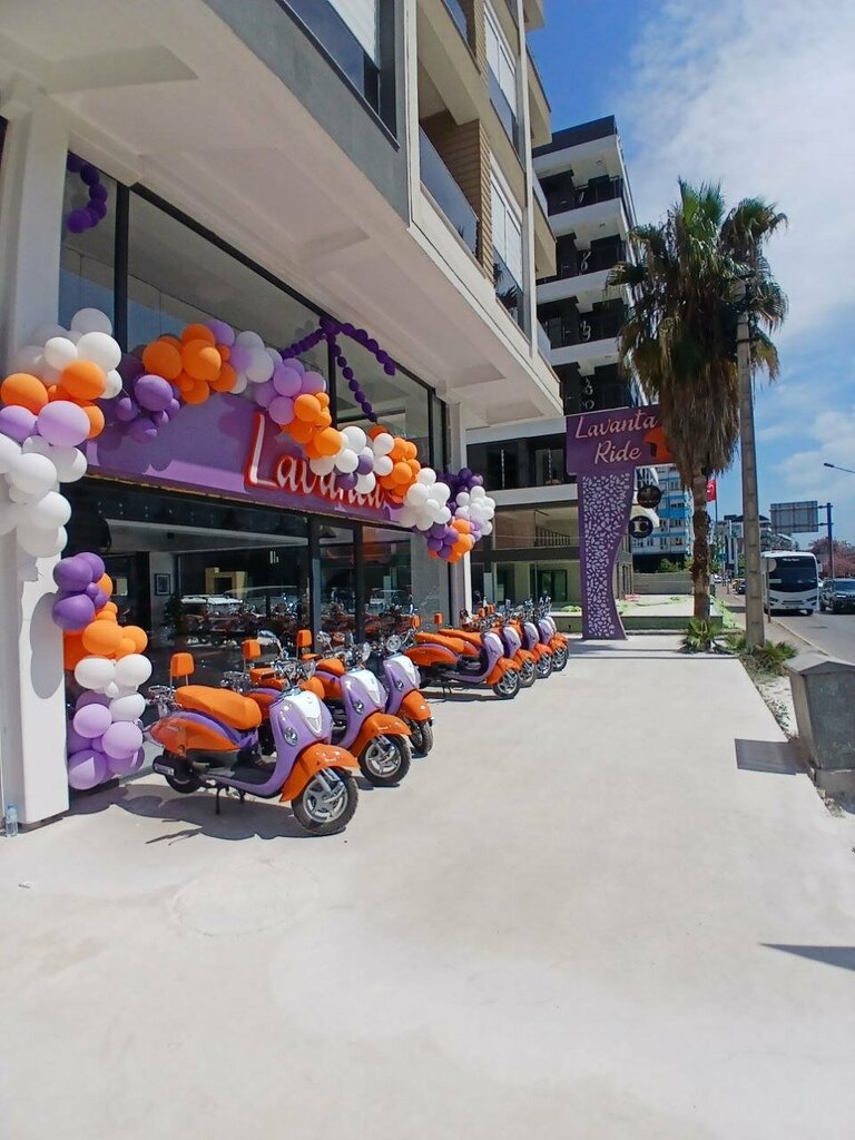 Kiralama noktası Lavanta. Sürüş, Antalya, foto