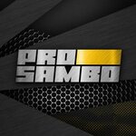 Pro Sambo (Stavropolskaya Street No:105), spor kulüpleri  Krasnodar'dan