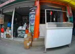 Wholesale Grocery Commerce (Department of Chuquisaca, Oropeza Province, Municipality of Sucre, Distrito D-2), market  Sucre'den