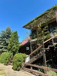 Под соснами (ulitsa Kalinina No:347, stanitsa Dolzhanskaya), otel  Krasnodarski krayından