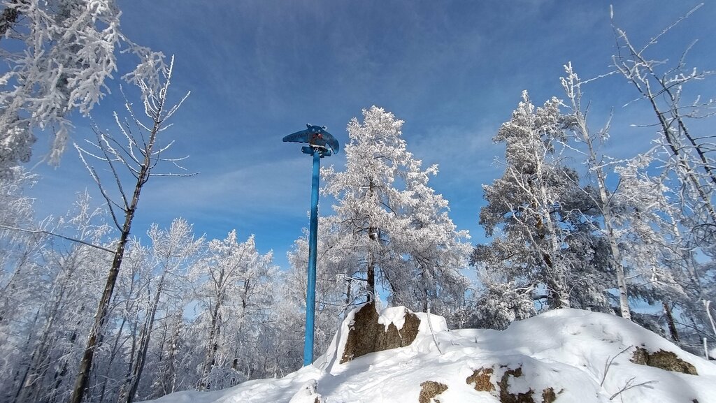 Park, sokak heykeli Сова с пробитым крылом, Sverdlovskaya oblastı, foto