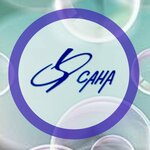 Sana (ulitsa Engelsa No:2А, Lipki), kuru temizlemeciler  Lipki'den