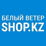 White Wind (Nursultan Nazarbaev dańǵyly No:44), bilgisayar teknik servisleri  Pavlodar'dan