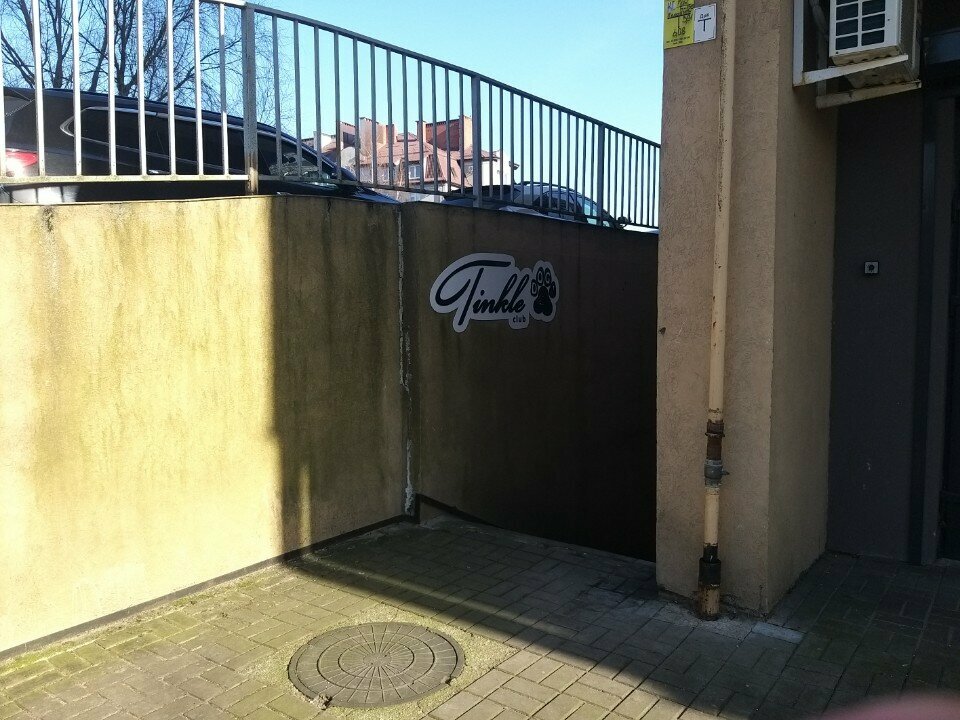 Evcil hayvan kuaförleri TinkleDogClub, Kaliningrad, foto