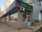Экогрядка (Sagita Agisha Street No:12), tohum satan yerler  Ufa'dan