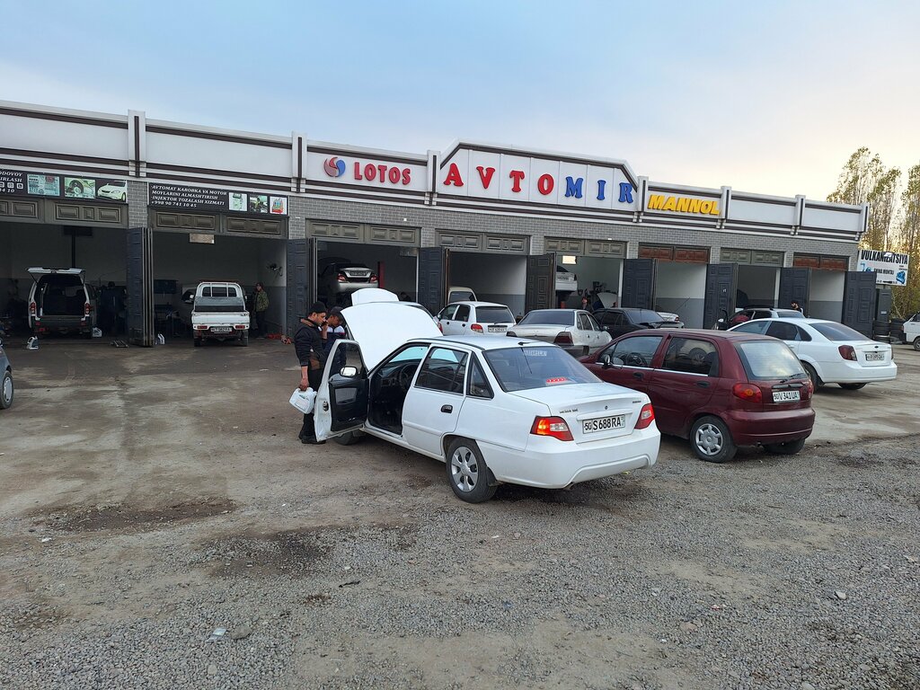 Otomobil servisi Автозапчасти, , foto