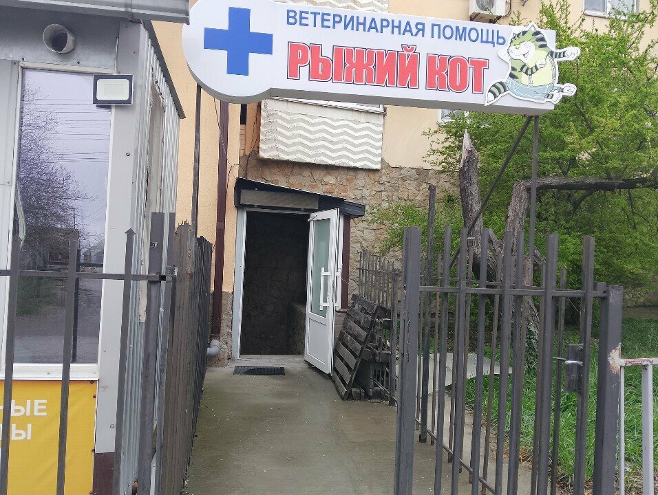 Veteriner klinikleri Рыжий Кот, Krasnodarski krayı, foto