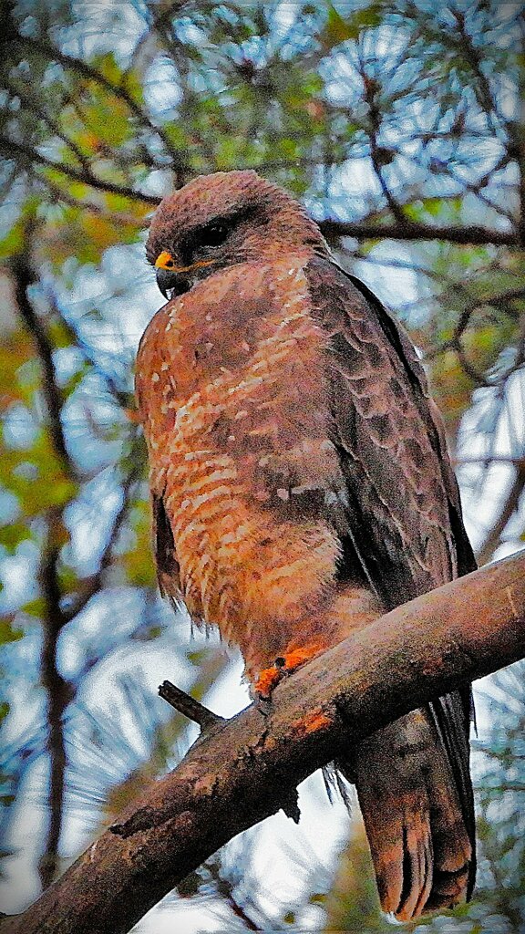 i̇tfaiye Пожарная часть № 2, Zarechny, foto