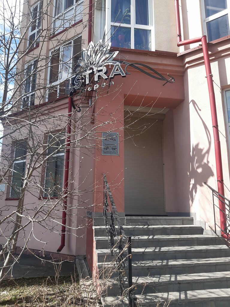 Sergi salonları, galeriler Astra, Tomsk, foto