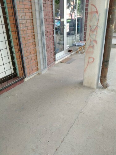 Excentric, ул. Браче Дроньяк, 7, Нови-Сад. Яндекс - поиск по врачам и ...