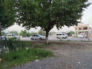 Tulpor (Namangan Region, Turakurgan District, Gulqishloq mahalla fuqarolar yigʻini, Oʻzbekiston koʻchasi, 6), kafe  Nemengan eyaletinden