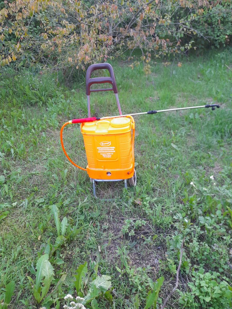 Teslimat noktası Wildberries, Slutsk, foto