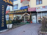 Smmm Mustafa Koyuncuoğlu (Birlik Mah., Podgoritsa Cad., No:48/13, Çankaya, Ankara), mali denetleme şirketleri  Ankara'dan