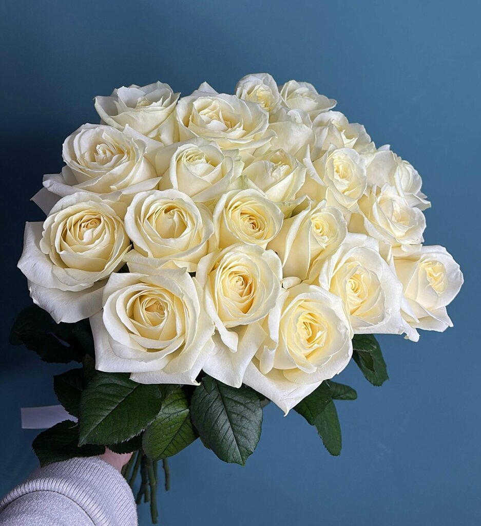 Çiçekçiler Аквилегия, Moskova, foto