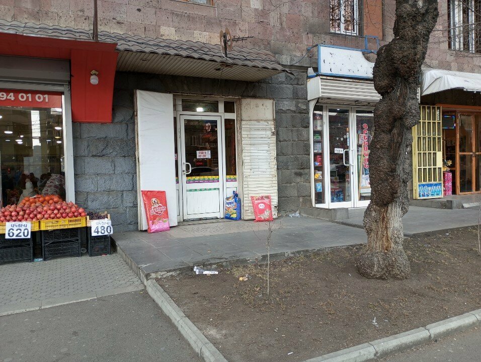 Petshop Pet store, Erivan, foto