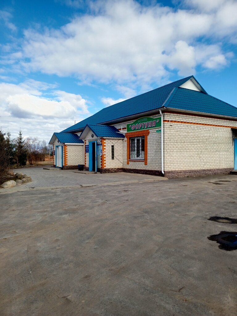 Market Фортуна, Brianskaya oblastı, foto