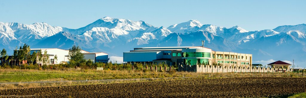 Şaraphane Savalan Aspi Winery, Kebele Rayonu, foto