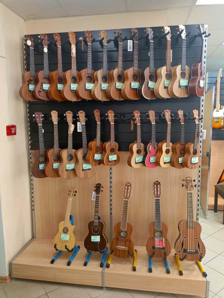 Enstrüman mağazaları Epitsentr muzyki, Lipetsk, foto