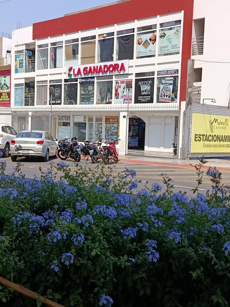 Büyük mağazalar C. C. La Ganadora, Lima, foto