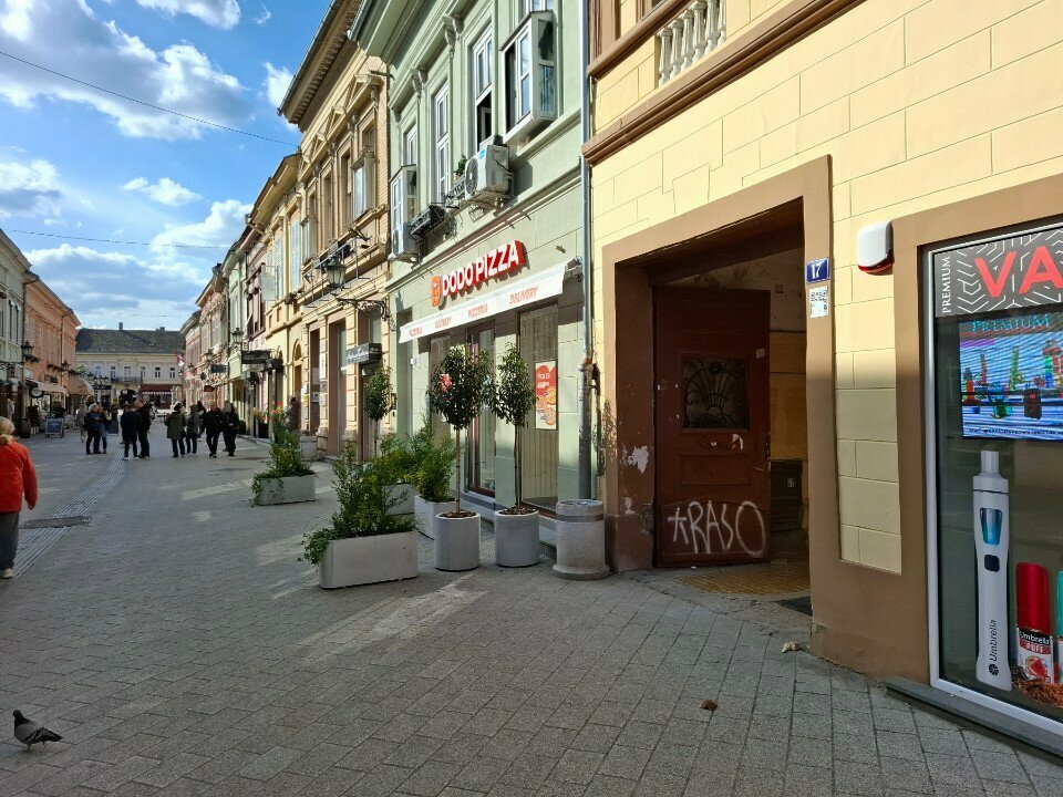 Uzmanlık eğitimi Scool kids, Novi Sad, foto
