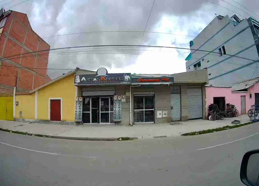 Veteriner klinikleri Animal Kingdom, El Alto, foto