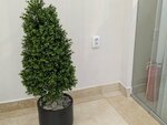 Charging sockets (Vaynera Street No:10), şarj için prizler  Yekaterinburg'dan