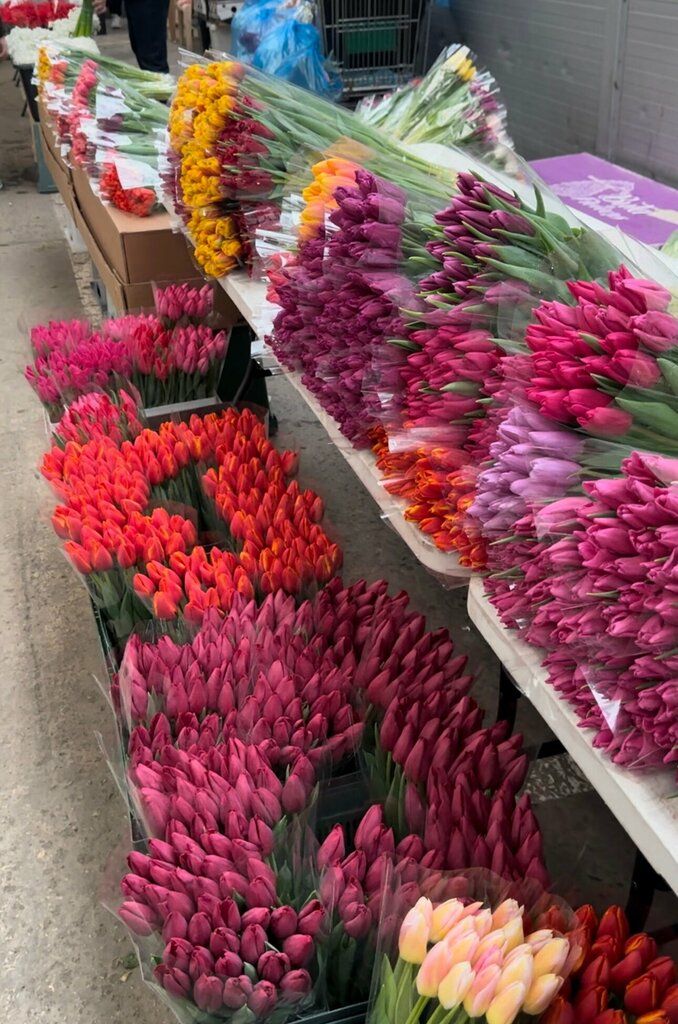 Çiçekçiler Луг, Krasnodar, foto