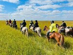 At-Travel (Aqmola oblysy, Selinograd audany), at ve binicilik kulüpleri  Akmola eyaletinden
