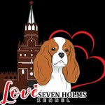 Love Seven Holms (ulitsa Kuybysheva No:9, Malakhovka Township), evcil hayvan yetiştiricileri  Moskova ve Moskovskaya oblastından