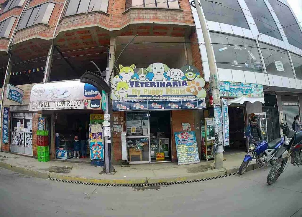 Veteriner klinikleri My Puppy Planet, La Paz, foto